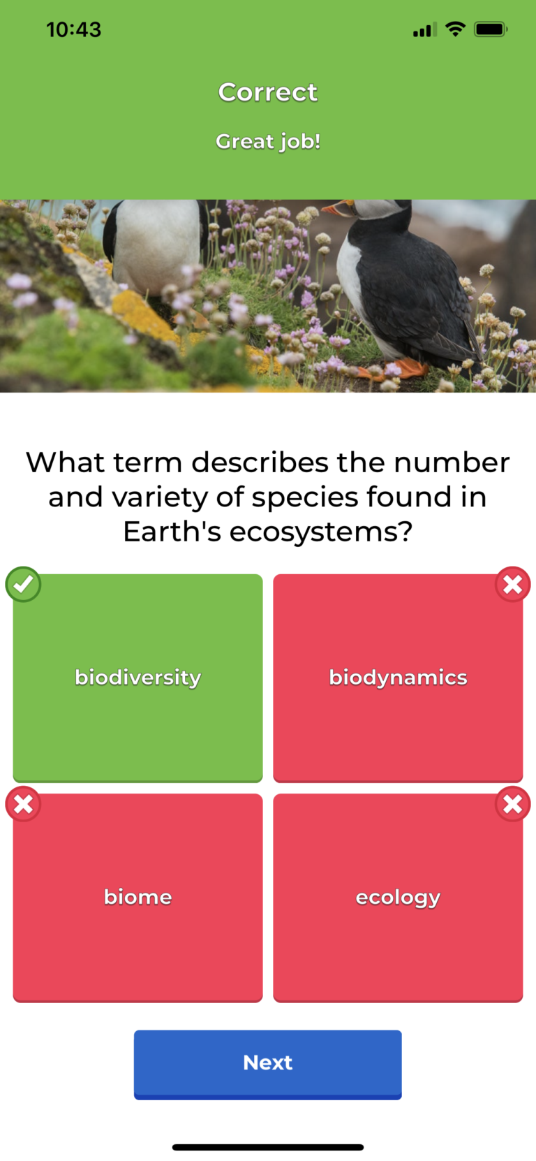 Kahoot! flashcards and other new study modes