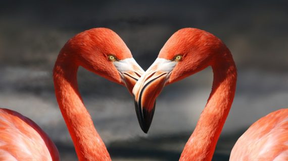 Valentine's Day games with Kahoot!