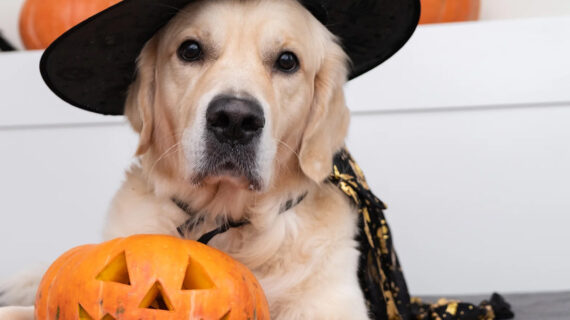 Halloween games to host a fa-boo-lous celebration