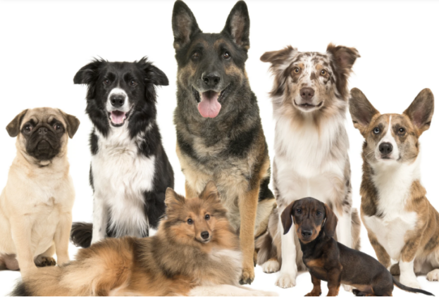 Play fun trivia night kahoots from FOX’s new game show ‘The Floor’